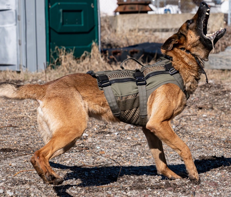 K9 Vest Tactical DTA – Tactical Support Equipment